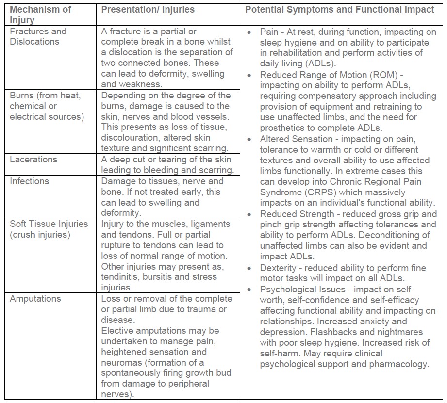 The role of Occupational Therapy in Hand Trauma - The OT Practice